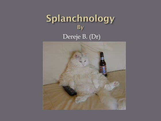 Boundaries of flank and paralumbar fossa | PPTX