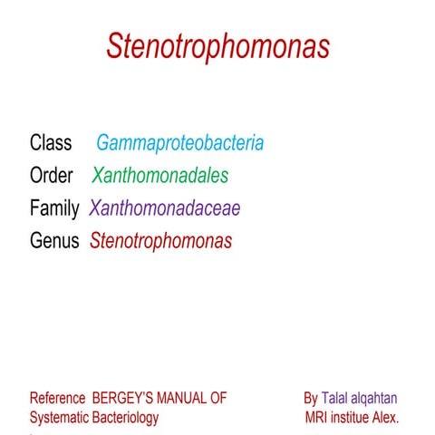 Stenotrophomonas | PPT