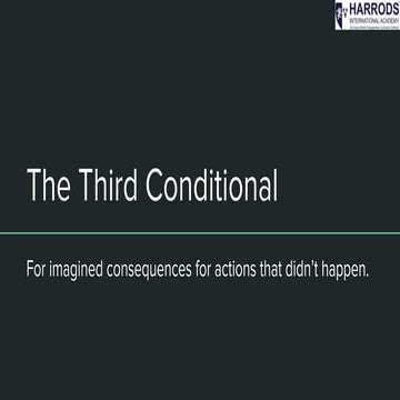 Third Conditional 3rd CONDITIONAL. ESL Worksheet By Effiik