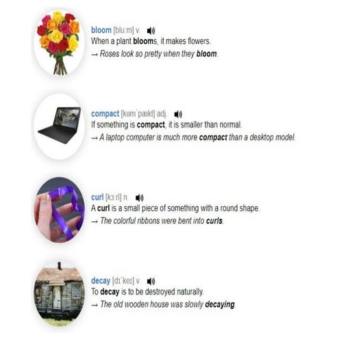 Essential English Words Unit 4: Vocabula | PPT