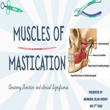 Muscles of Mastication of oral surgery in Regional Dental College 3rd ...