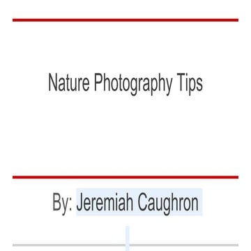 Nature Photography Tips | PPT