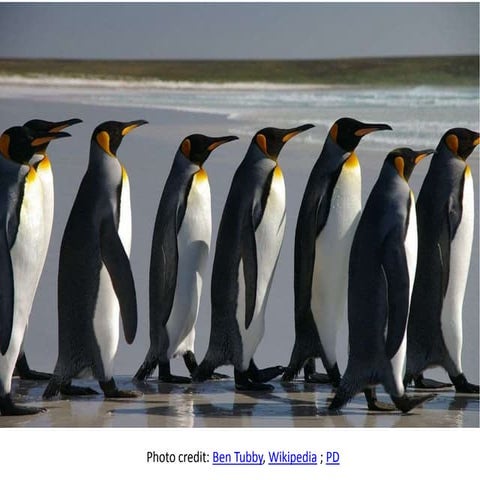 Example OER training | PPTX