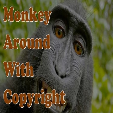 Copyright card game presentation | PPTX