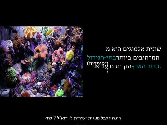 Magen David alphabet HEBREW | PPS