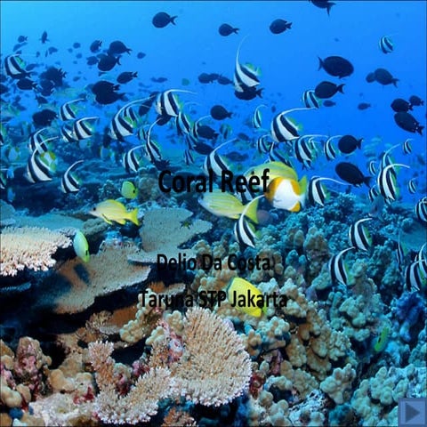 Coral reef | PPT