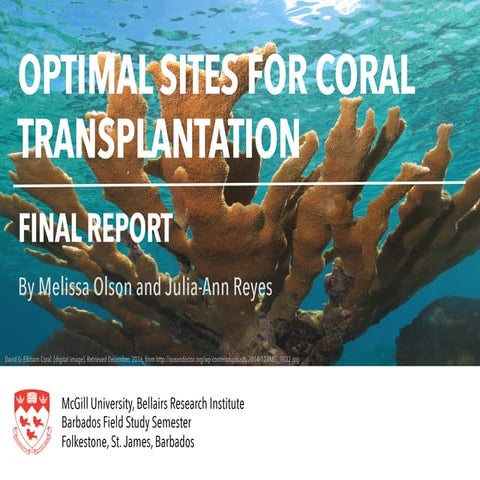 Coral Reef Restoration Research Project | PDF