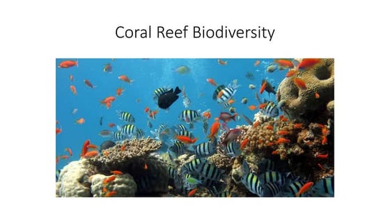 Coral reef presentation | PPTX | Geology | Science