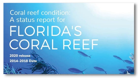 Transportation of live crab and their process | PPT