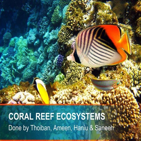 Coral reef ecosystems | PPTX