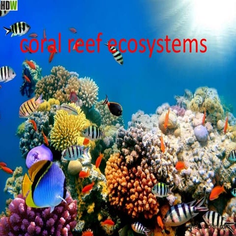 Coral reef ecosystems | PPTX