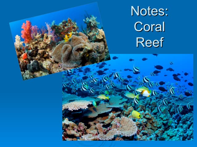 Corals And Coral Reefs Powerpoint Presentation Ppt