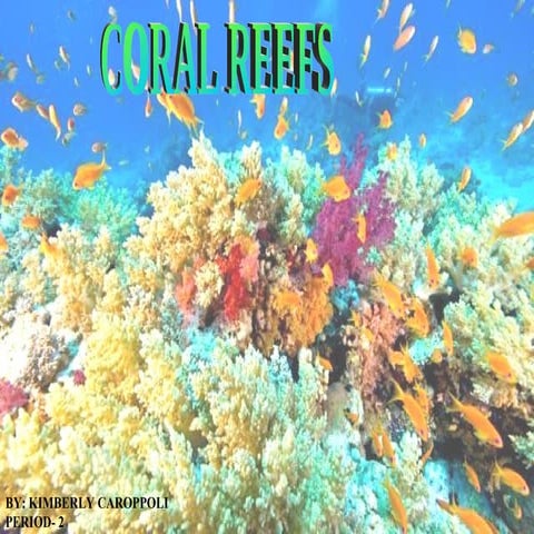 Coral Reef Presantation | PPT | Zoos & Aquariums | Attractions