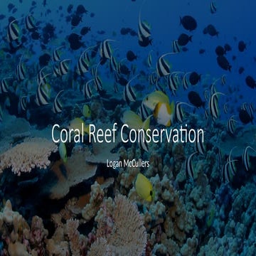 Tropical Coral Reef Education and Conservation | PPT | Free Download