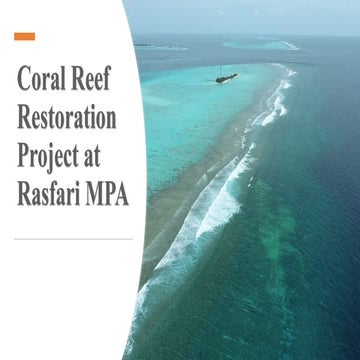 Coral Reef Restoration Project at Rasfari Marine Protected Area (MPA ...