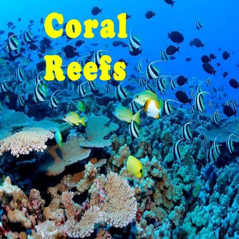 Coral reefs | PPT