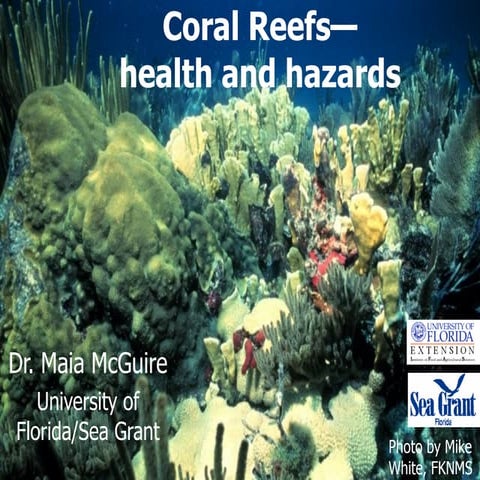 Coral reefs | PPT