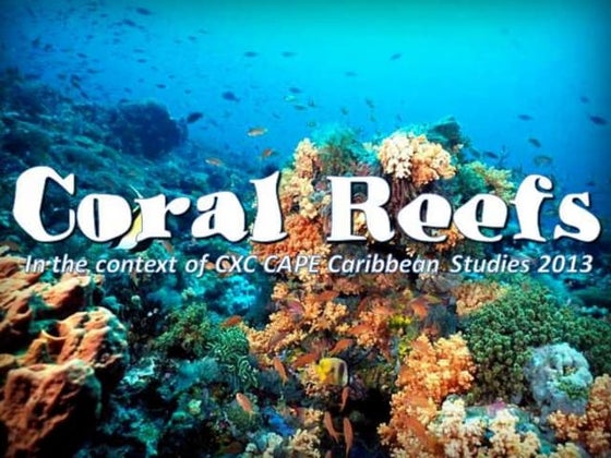 Coral reef presentation | PPTX | Geology | Science