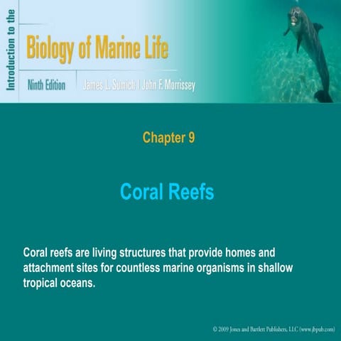 Coral reefs | PPT