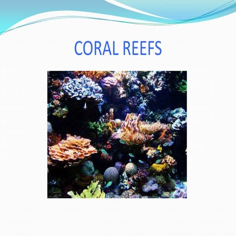 Coral reefs | PPTX