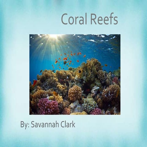 Coral Reefs | PPT