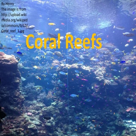 Coral reefs | PPTX