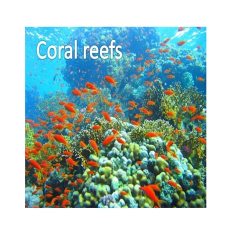 Coral reefs by Mackenzie | PPTX