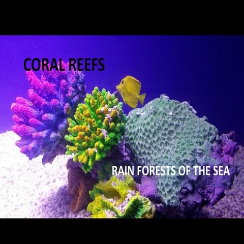 Coral reefs | PPT