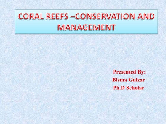 Coral reef Samantha | PPT