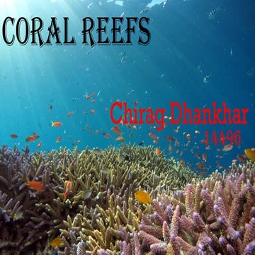 Coral reefs formation, development, facts, benefit to human and coral ...