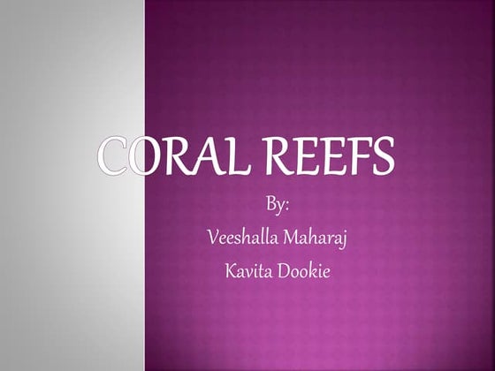 Ocean ecosystem | PPT