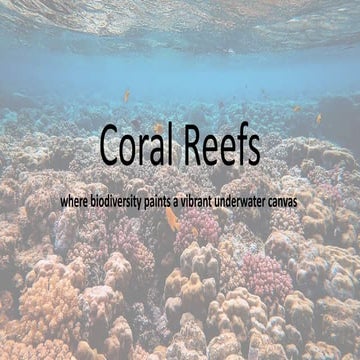 Coral Reefs 3 presentation under environment engineering | PPTX ...