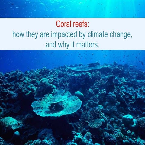 OCEANS and the effect on climate change.ppt