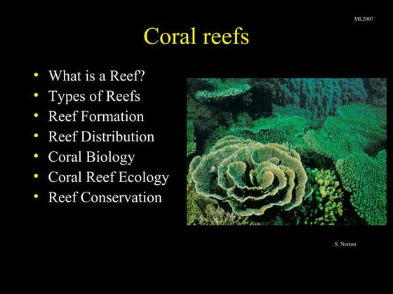 Coral reefs | PPT