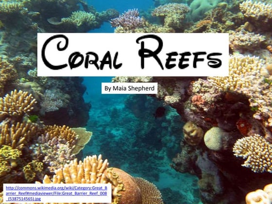 Coral reef | PPTX