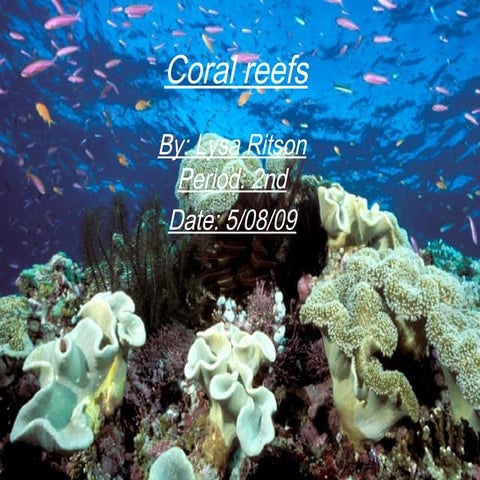 Coral reefs pwp | PPT