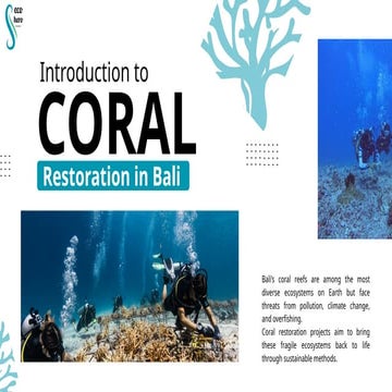 Discover Marine Biology in Bali – Hands-On Ocean Conservation.pptx