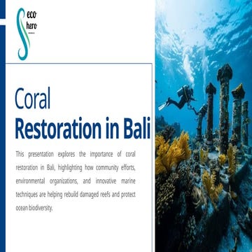 Discover Marine Biology in Bali – Hands-On Ocean Conservation.pptx