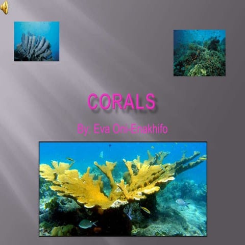 Corals Reefs | PPT