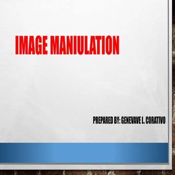 Image Manipulation | PPT