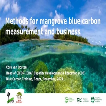 Methods for mangrove blue carbon measurement and business | PDF