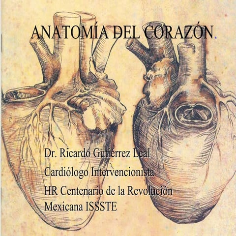 Anatomía del corazón | PPT