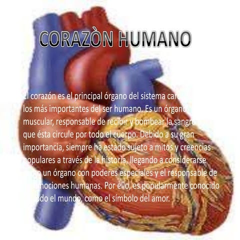 BIOLOGIA DEL CORAZON, SUS FUNCIONES Y MAS.pptx