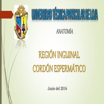 Cordón espermático | PPTX