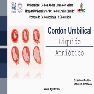 Cordon Umbilical Anthony-1.pdfbbnnnnnnnnn | PDF