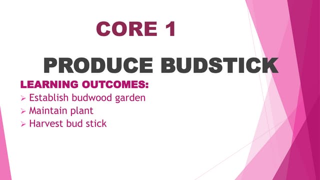 TYPES OF BUDDING | PPTX