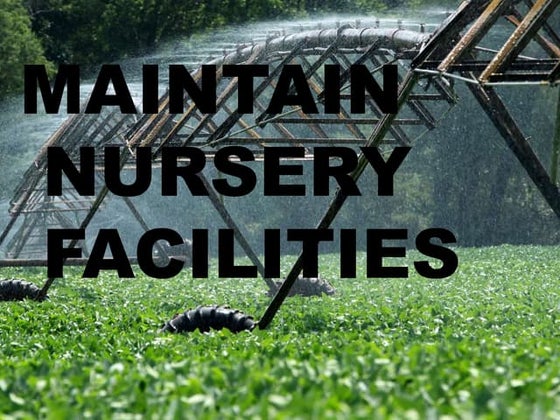 MAINTAIN NURSERY FACILITIES.pptx