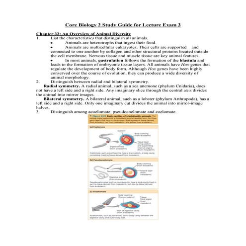 Core biology 2 study guide for lecture exam 3 | PDF