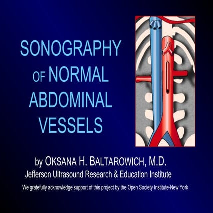 CORE CURRICULUM LECTURE 06 NORMAL ABDOMINAL VESSELS.part 1.1.ppt