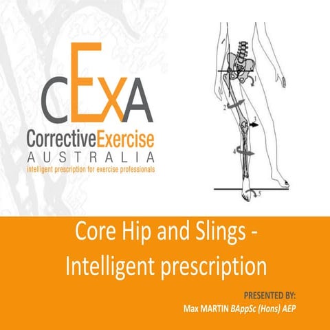 Core hip and slings function review oct 2012 | PPT